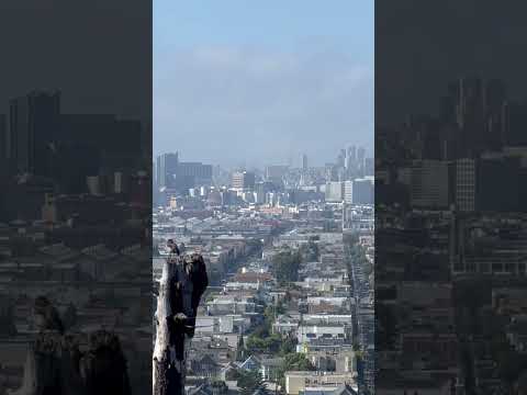Where’s Sales Force? #sf #california
