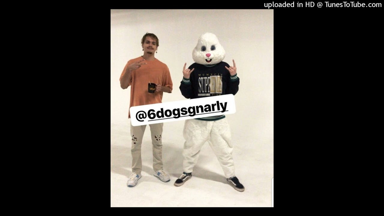 6 Dogs - Paces (Unreleased Leak)