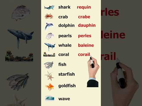 #French Vocabulary:#Sea Animals 🐟 | Learn French Fast | #Shorts