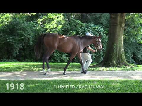 KEESEPT20 Hip#1981 f. Unified - Rachel Wall