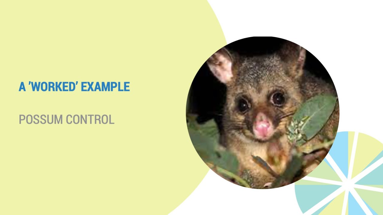 Impact Pathways Explainer - Worked Example