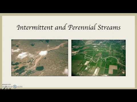 Intermittent, Perennial and Exotic Streams