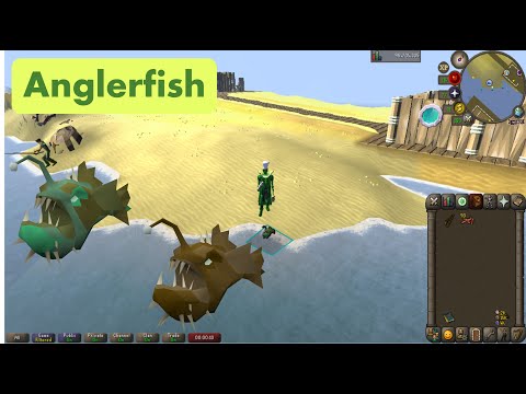 Anglerfish - Cooking Every Item in Old School Runescape - Episode 36