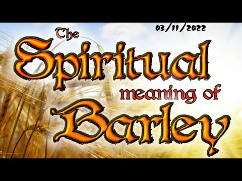 The Spiritual meaning of Barley