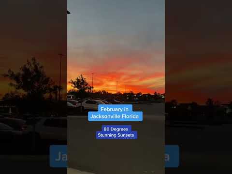 February in Jacksonville Florida 🙌 #weather #jacksonville #florida #904 #yourhomesoldguaranteed