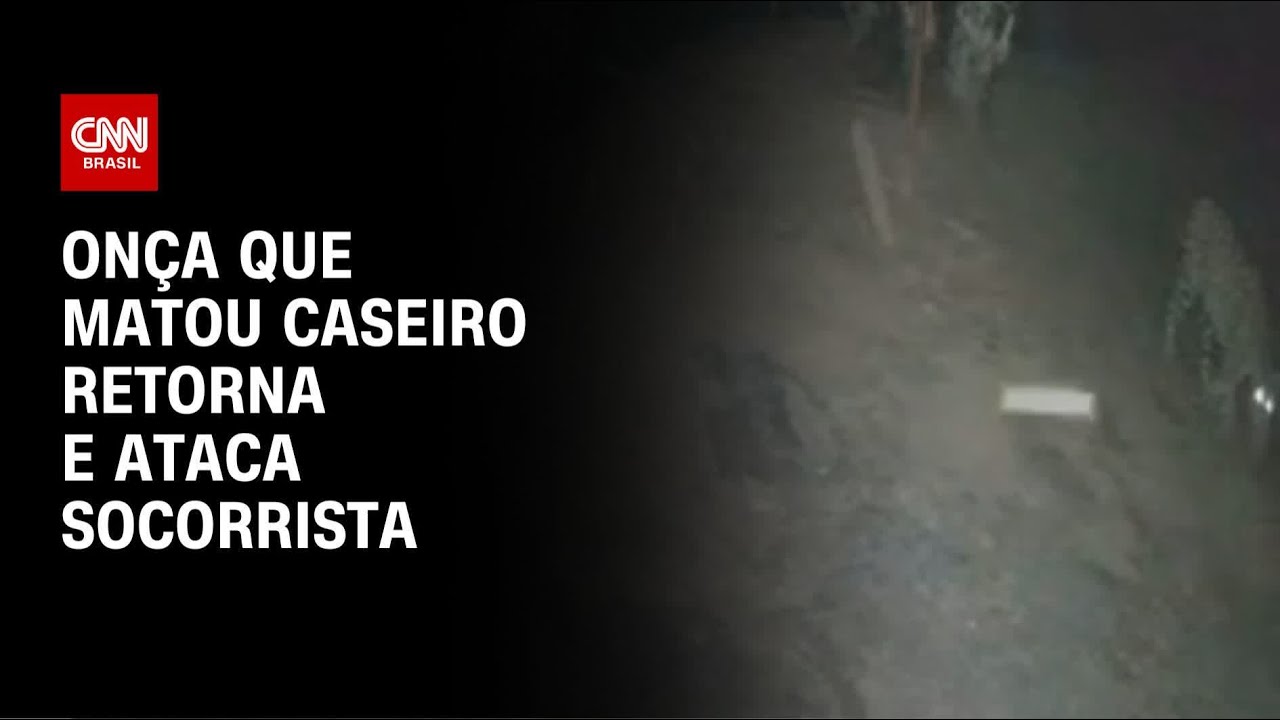 Vídeo: amigo previu ataque de onça que matou caseiro no Mato Grosso do ...