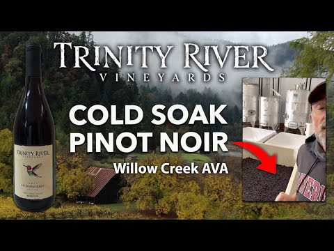 Cold Soaking 2021 PINOT NOIR wine | WINE MAKING