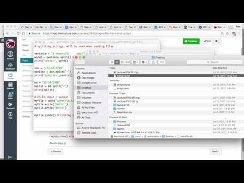Python File IO