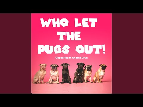 Who let the pugs out! (feat. Andres Cruz)