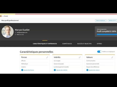 Présentation du profil professionnel