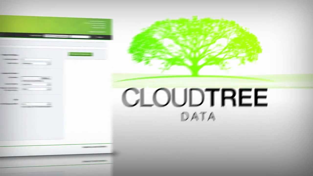 CloudTree Database Software, Database Development and Database Design