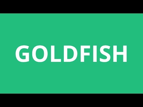 How To Pronounce Goldfish - Pronunciation Academy