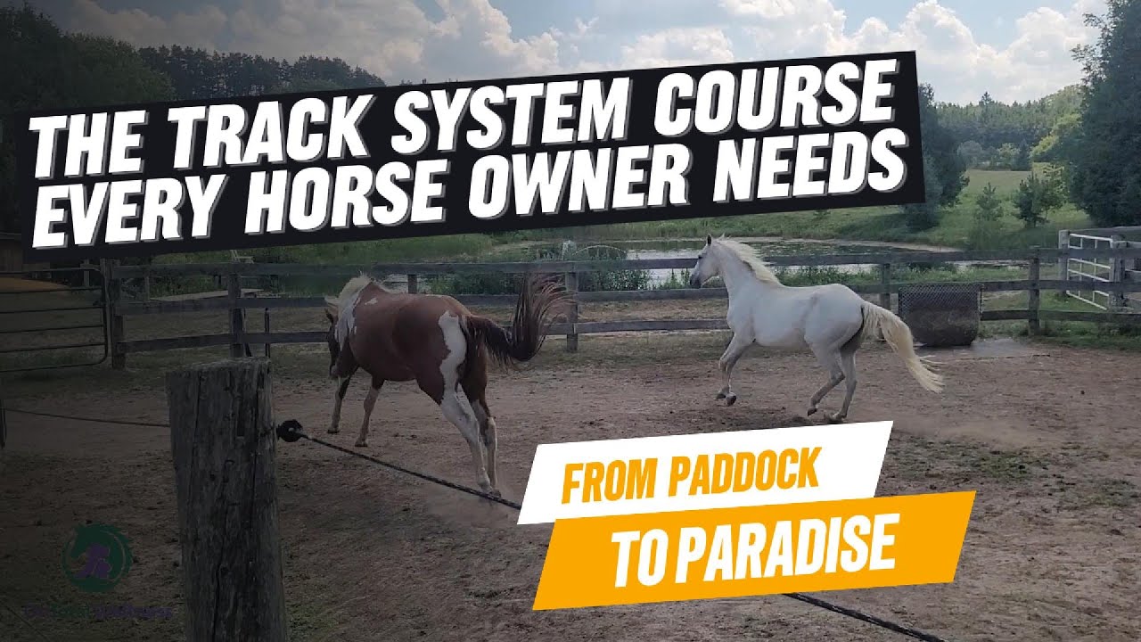 The Paddock Paradise Track System Course Every Horse Owner Needs