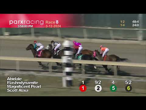 Race #8 03/12/24