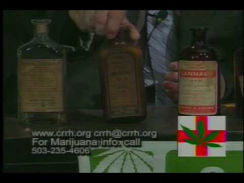 Cannabis Common Sense - Show and Tell/Sharing 453