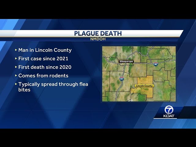 Symptoms of Bubonic Plague or ‘Black Death’ explored as the US reports ...