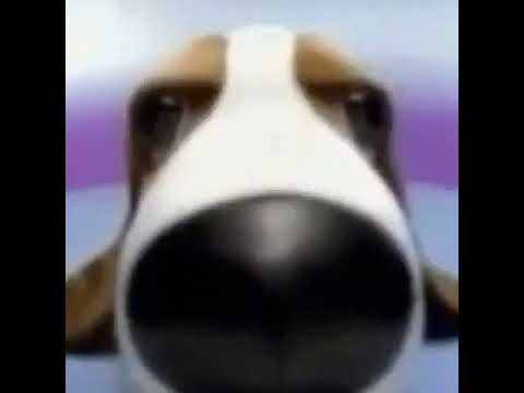 sad dog spinning to show face meme