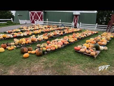 Very Eventful Trip to Tims Pumpkin Patch & Meeting the NY FARM GIRLS!
