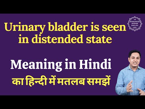 Urinary bladder is seen in distended state meaning in Hindi