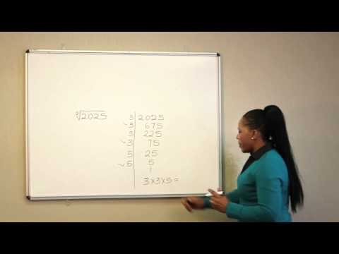 5 - Square and cubed roots