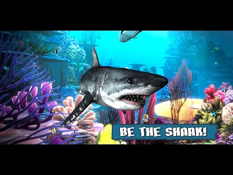 King of the Fish Tank