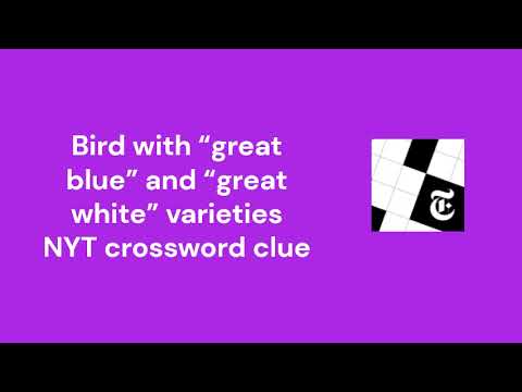 Bird with “great blue” and “great white” varieties NYT crossword clue
