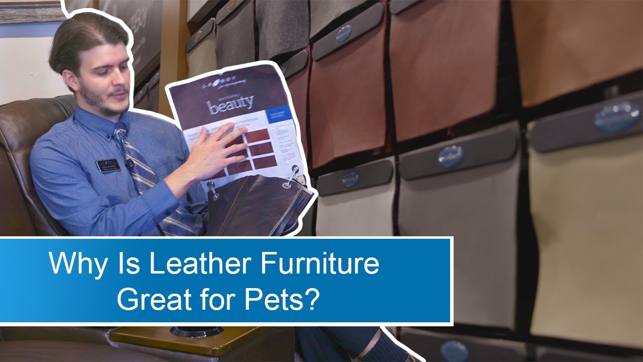 Why is Leather Furniture Great for Pets?