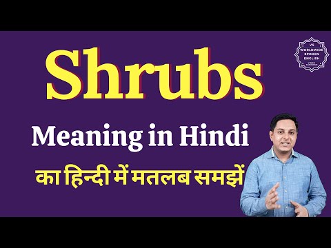 Shrubs meaning in Hindi | Shrubs ka matlab kya hota hai | English vocabulary words