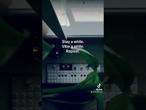 Stay. Vibe. Repeat. 08.21.23 #chill #op1field #vibes #lofi