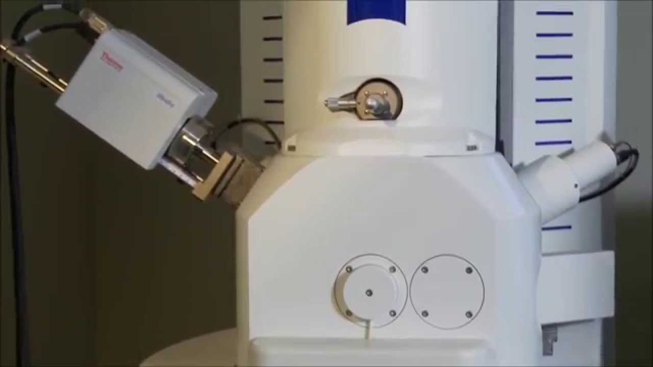 Fisher Barton Technology Center_Zeiss MA10 Scanning Electron Microscope (SEM)