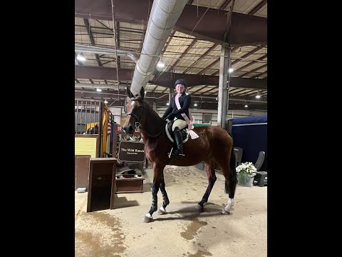 2024 CHJA medal finals Larkspur medal 5th place overall and 4th over fences