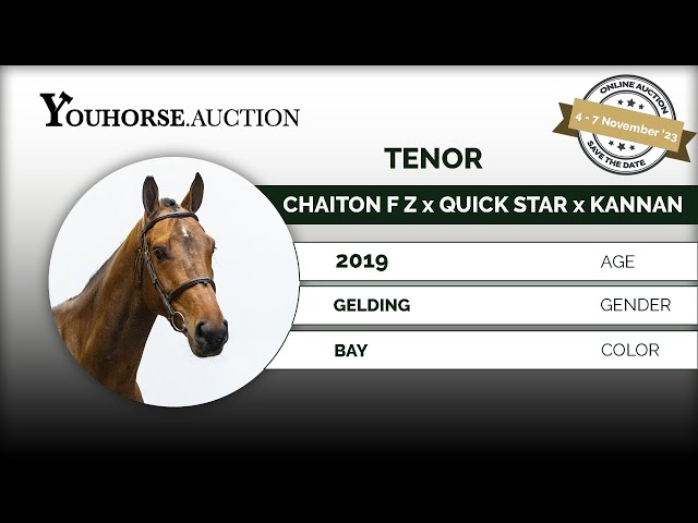 Youhorse.auction | Tenor