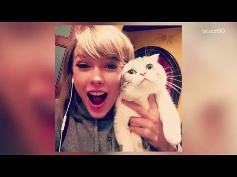 Taylor’s Swift’s alleged MySpace page is revealed and it’s hilarious ...