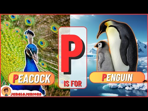 The Letter P | Animal Encyclopedia | ABC Animals for Kids, Homeschooling