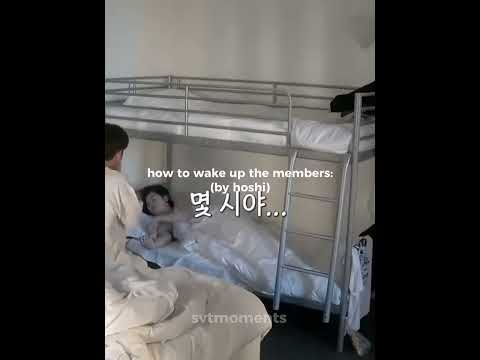 how to wake up seventeen by hoshi, joshua and dokyeom 🤣 #seventeen #nana_tour