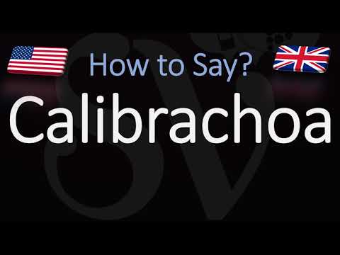 How to Pronounce Calibrachoa? (CORRECTLY)