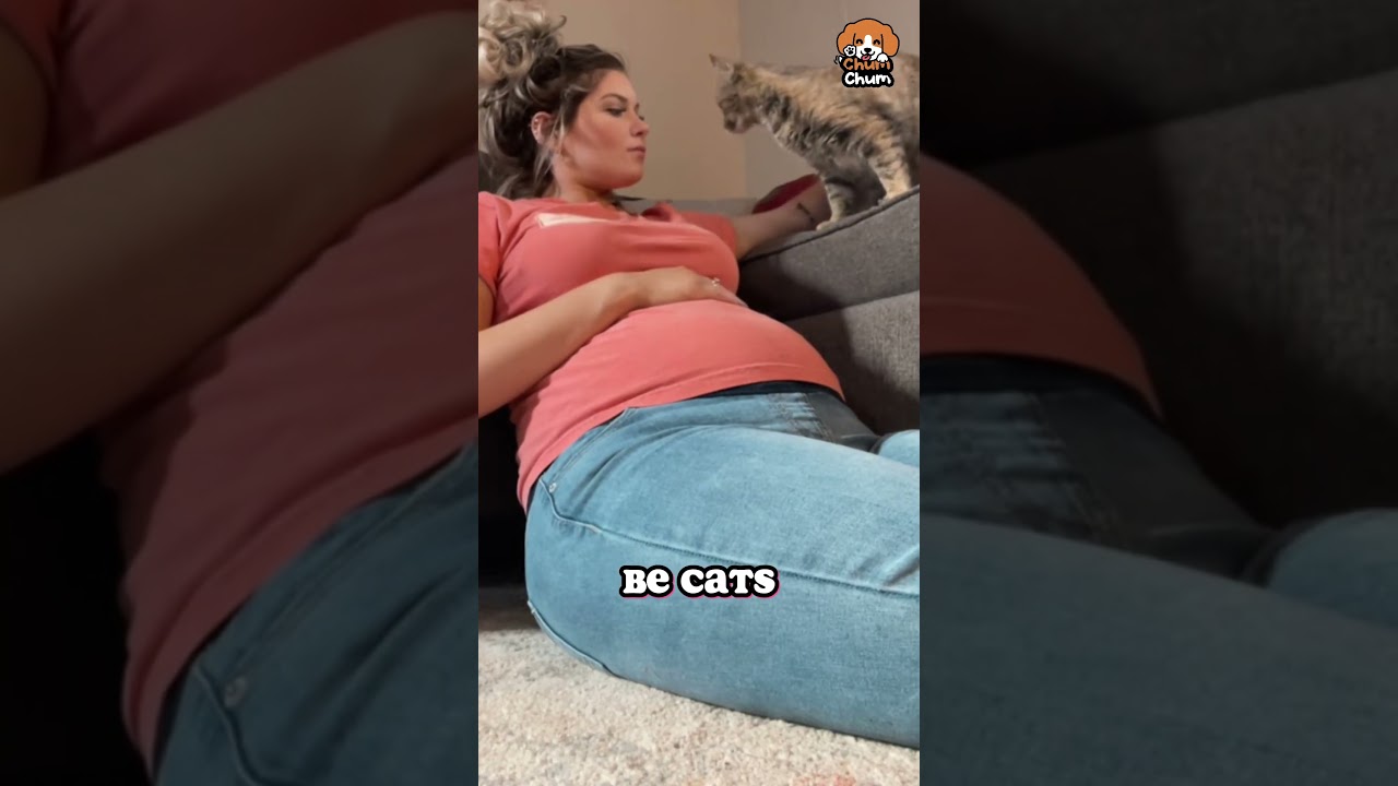 Why Cats Adore Pregnant Women 🤰❤️🐱 | Feline Love Mysteries Unveiled!