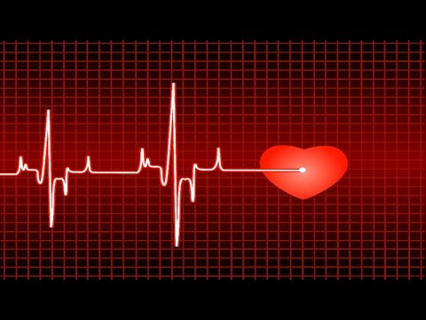 Heart Rate || Mrs. Biology