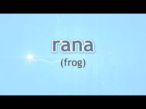 How to Pronounce Frog (Rana) in Spanish
