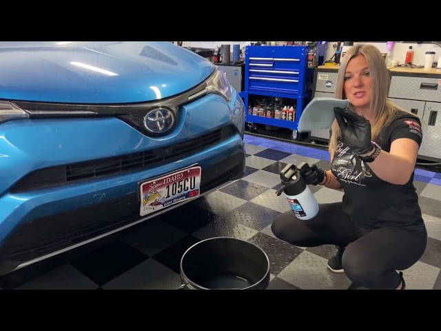 DSI Automotive - P&S Bug Off - Insect Splatter Remover - 16 oz