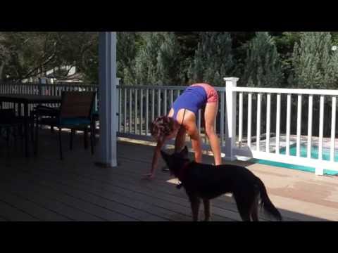 4-Square Legs and Core