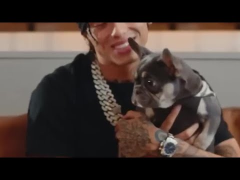 Central Cee’s Relationship With Madeline Argy Includes Part-Ownership of Her Dog