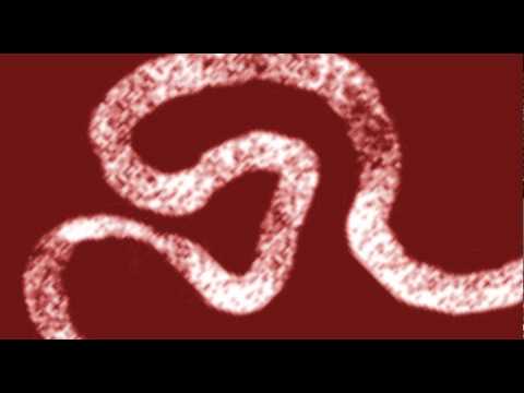 Clue, the movie, Title Sequence