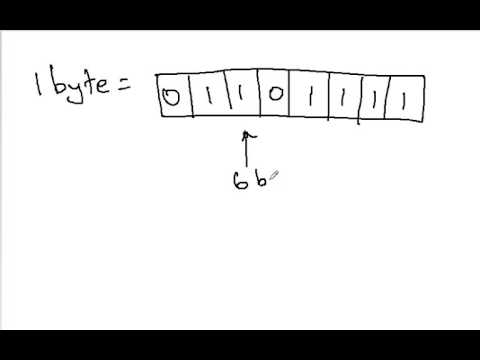 What is a bit and a byte in Java
