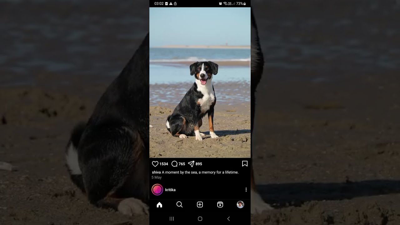 Instagram Clone App Using React Native and TypeScript