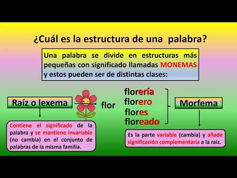 Estructura de las palabras - raíz, prefijos y sufijos
