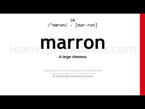 Pronunciation of Marron | Definition of Marron
