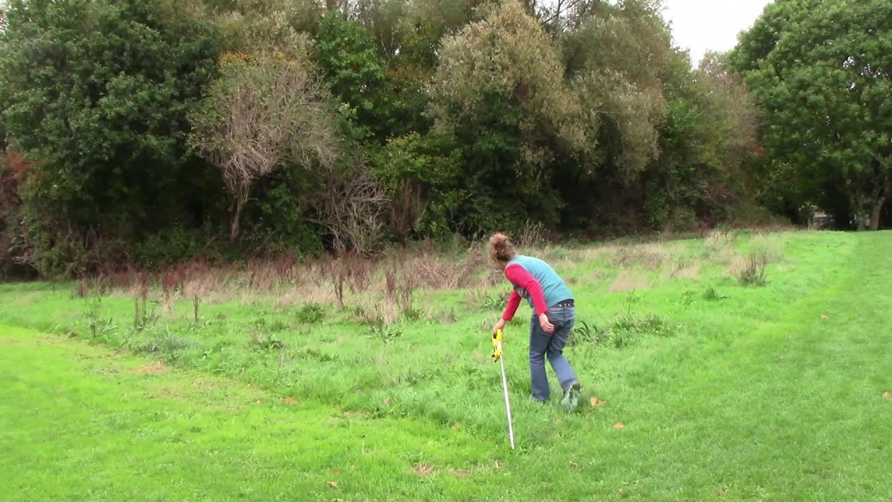 Grassland Fieldwork Techniques (GCSE/A Level Bio)