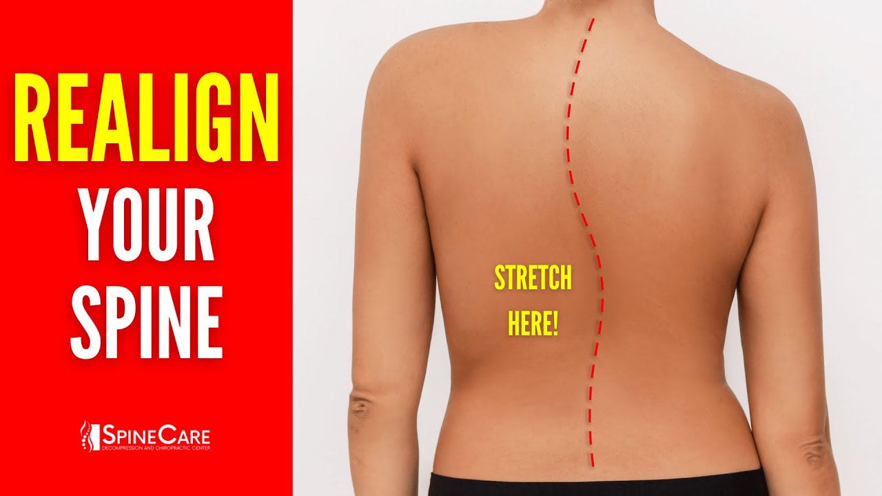 Best Exercises to Realign Your Spine