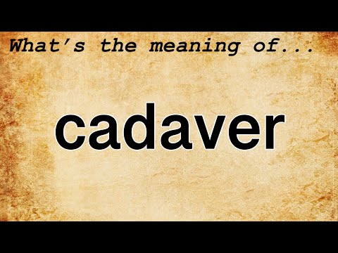 Cadaver Meaning : Definition of Cadaver